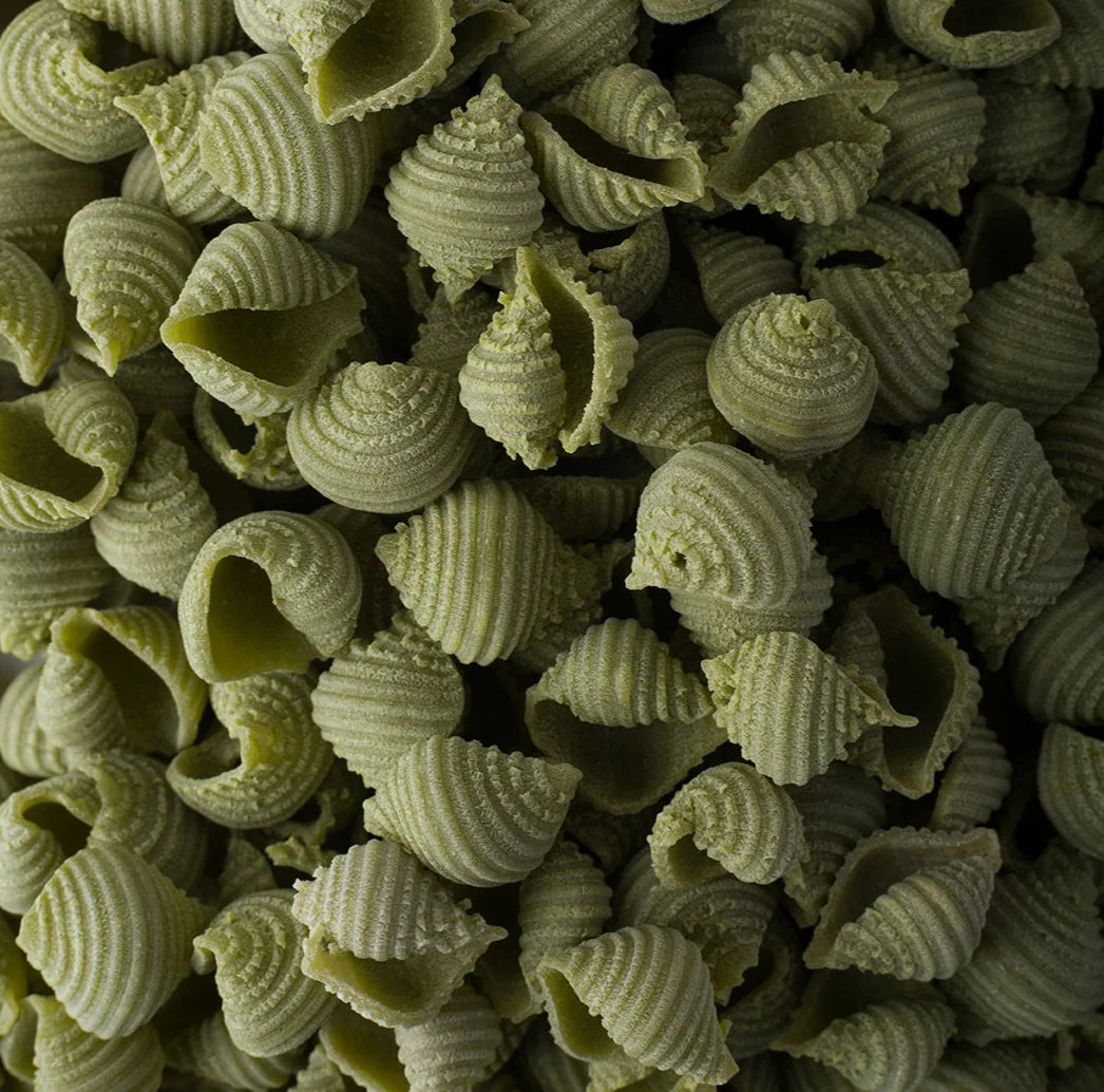 Island Pasta - Spinach Conchiglie (500g) – Alfie's Food Co.